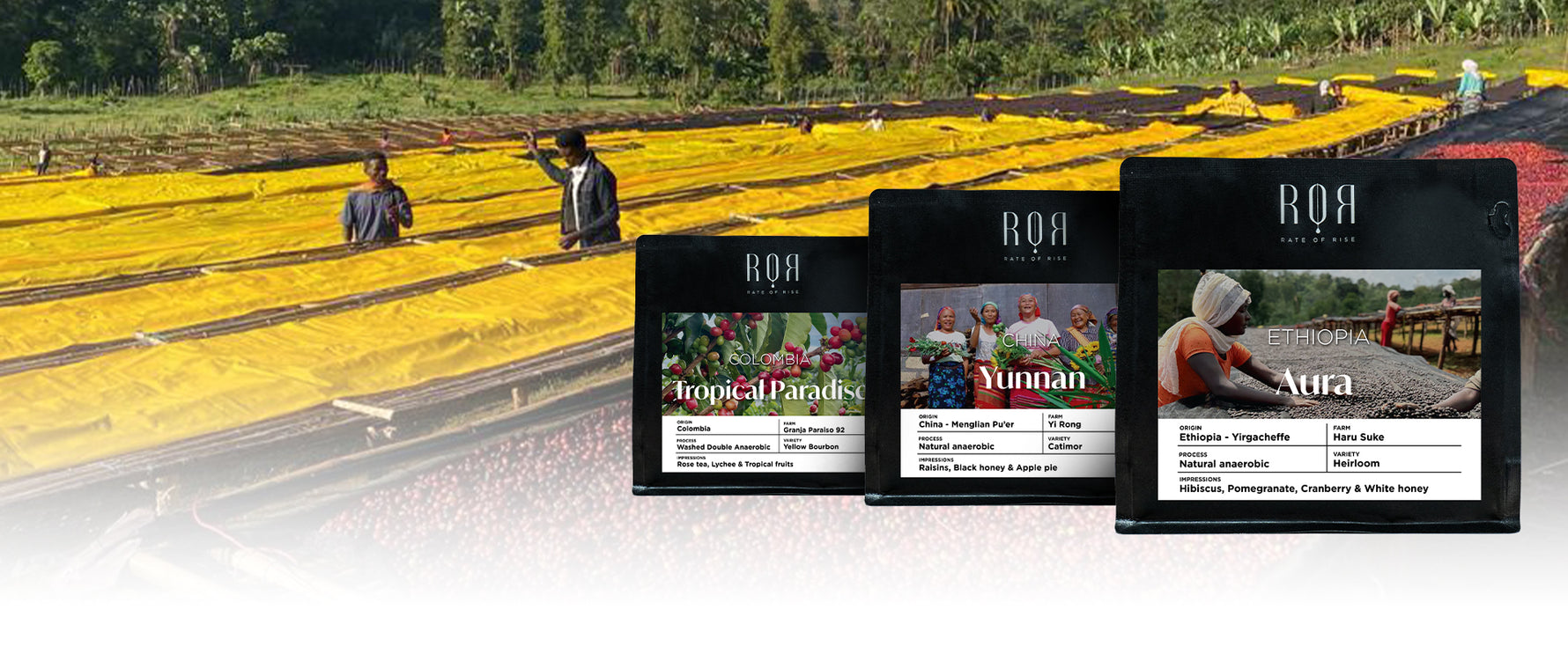 Coffee Supply & Services Specialty Beans, Blends, Equipment & Training ...